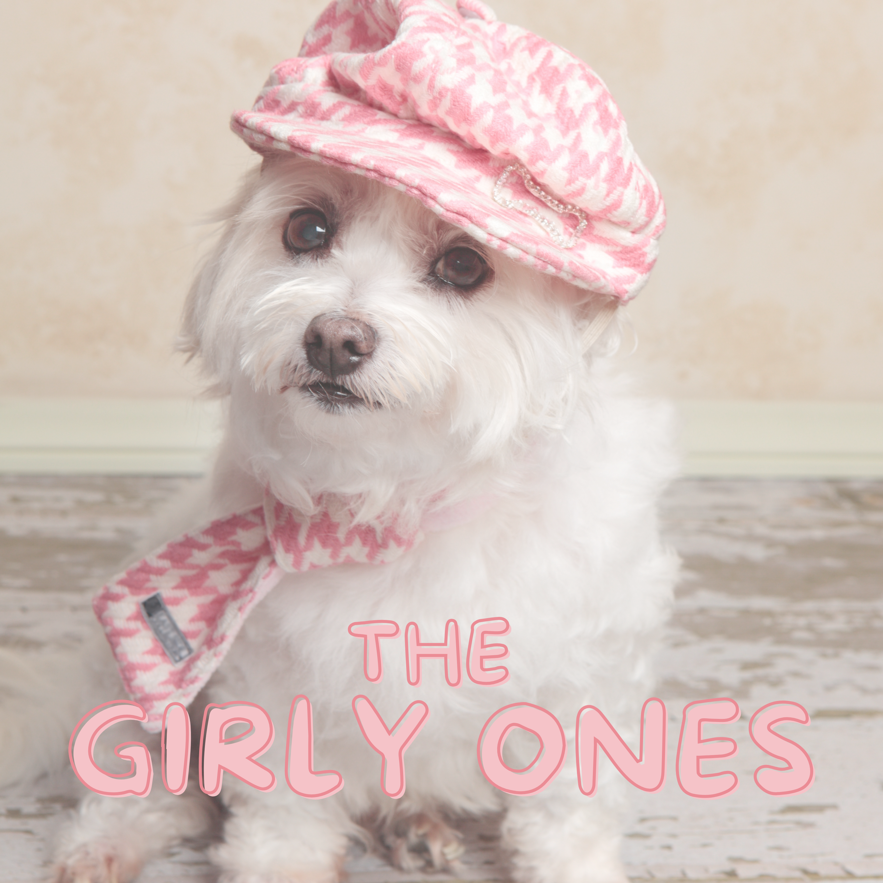 The Girly Ones – Pawlogue